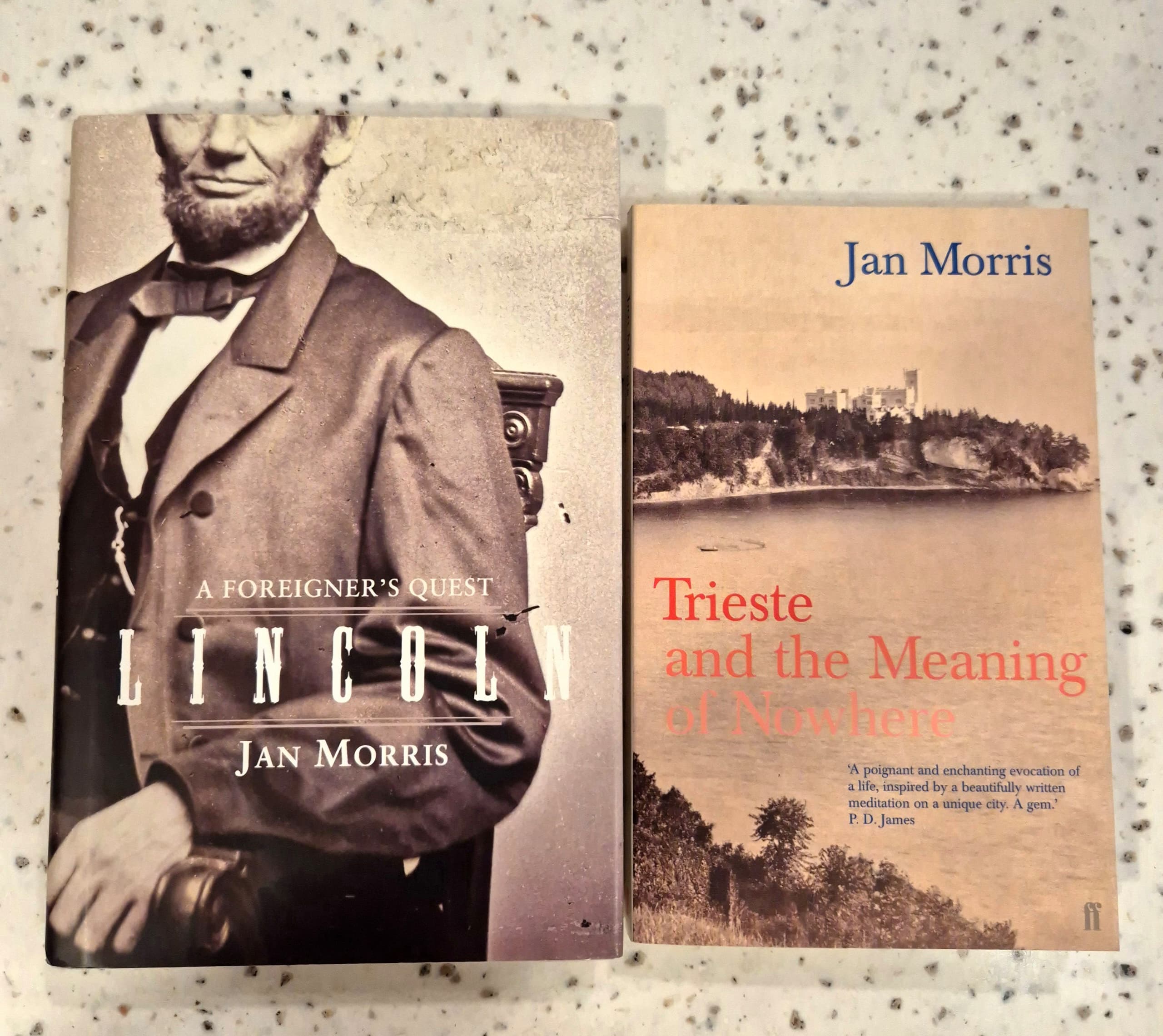 The Timeless Mastery of Jan Morris - The Old Pond | Book Reviews