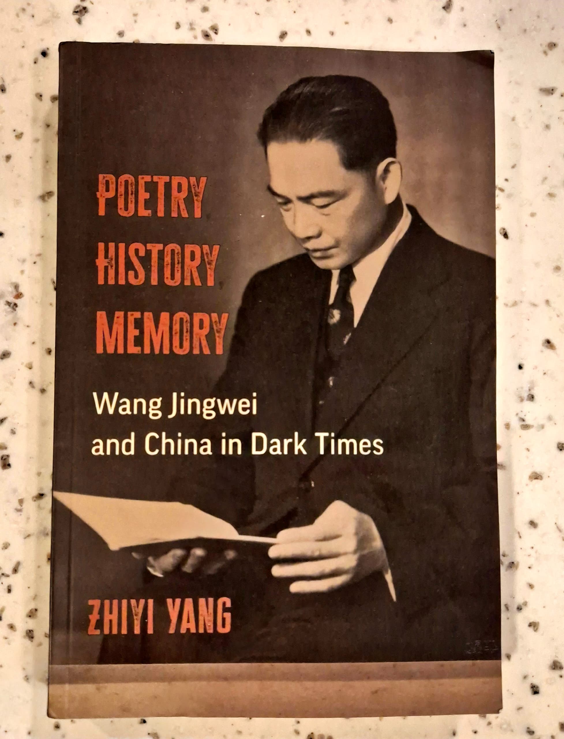 The Complex Story of Wang Jing Wei - The Old Pond | Book Reviews